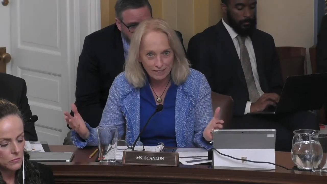 'So Bad Nobody Wants To See It In The Light Of Day': Mary Gay Scanlon ...