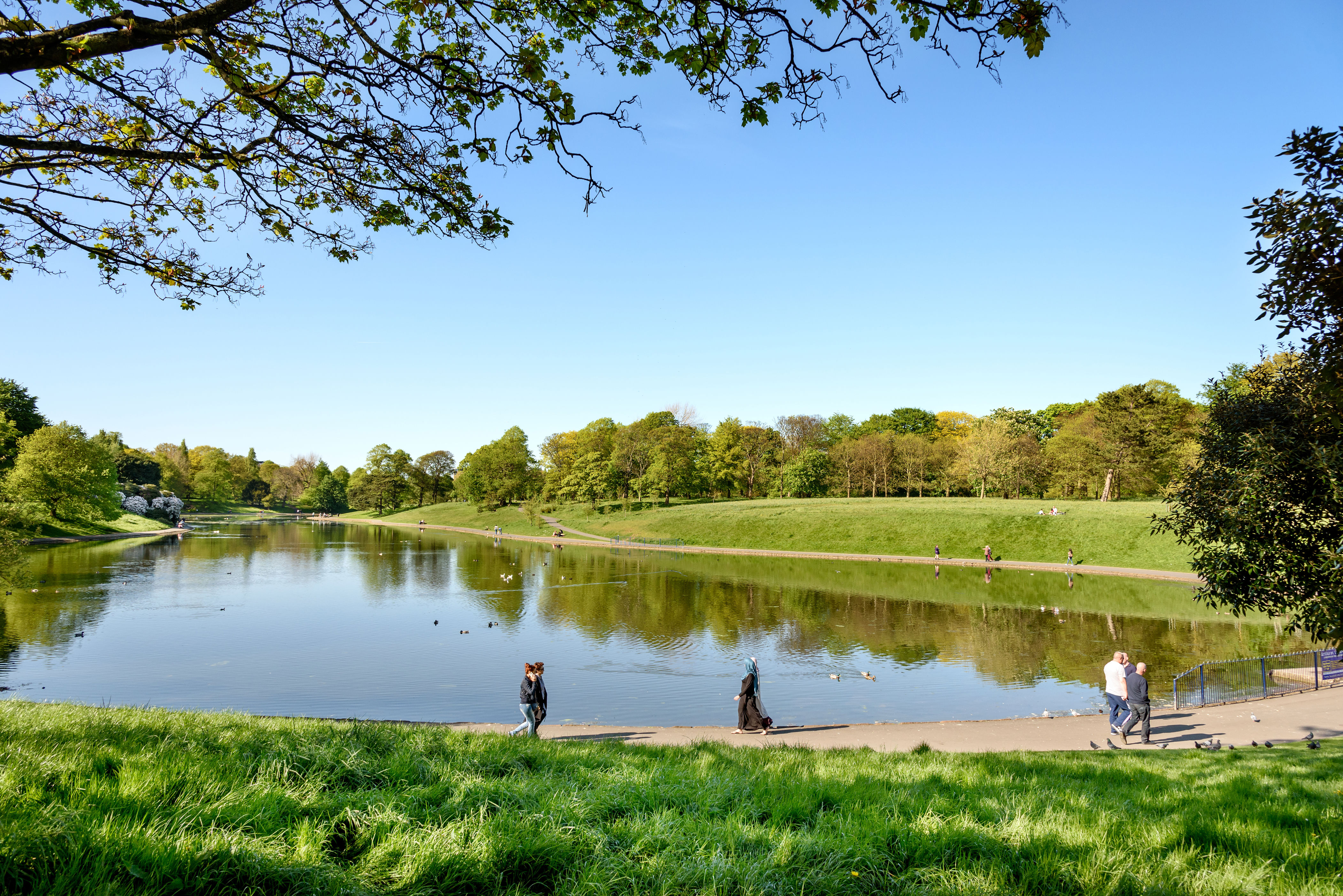 Liverpool's beautiful Sefton Park ranks among Britain's most-loved ...