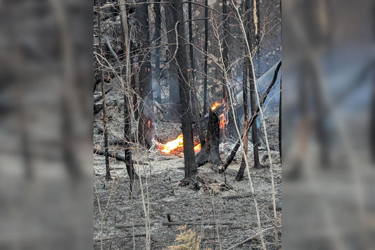 Lac du Bonnet wildfire evacuees return but for many, 'their world has ...
