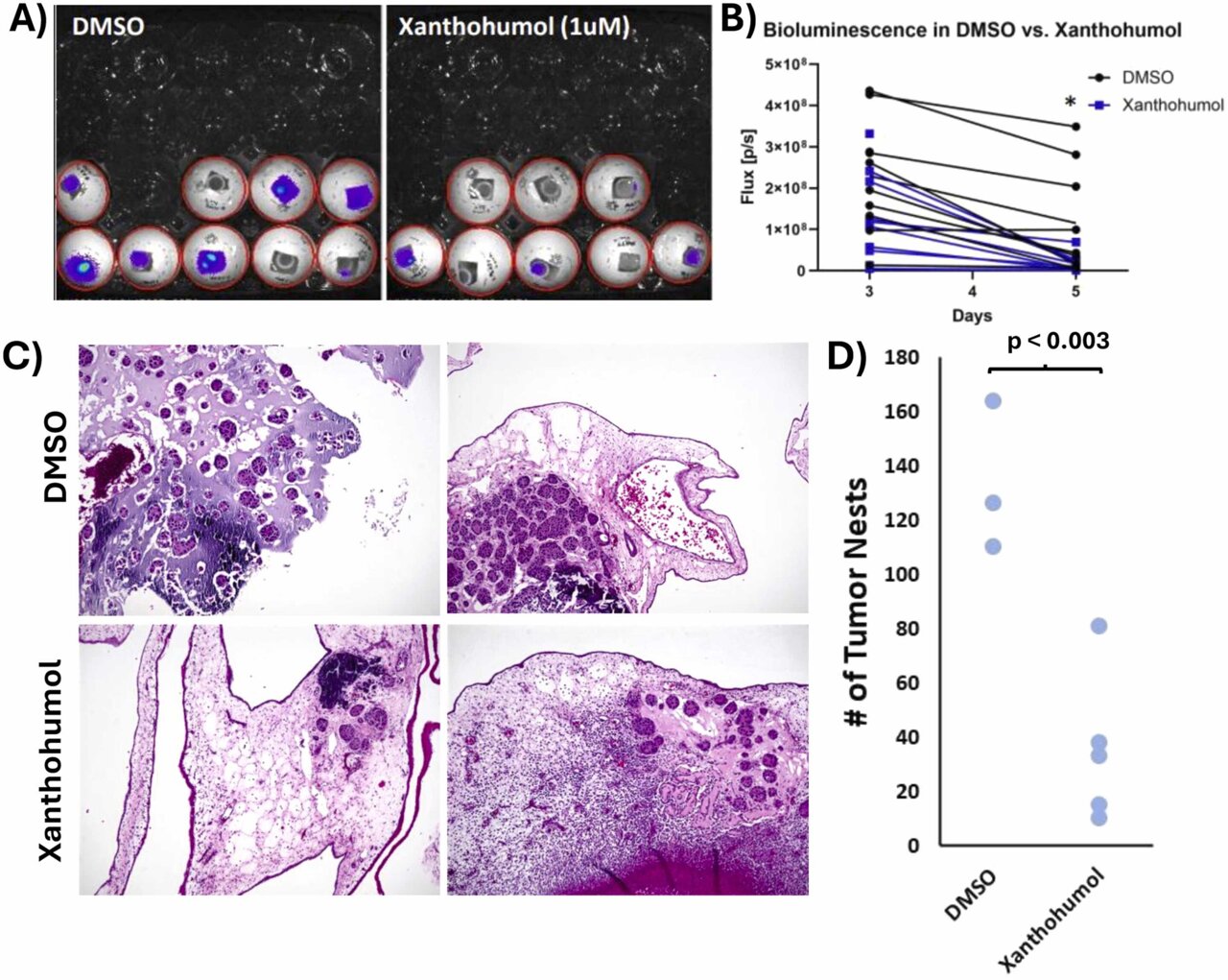 High-throughput microscopy analysis identifies flavonoids that are ...