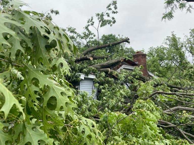 Experts: What steps to take, how to avoid roof scams after storms