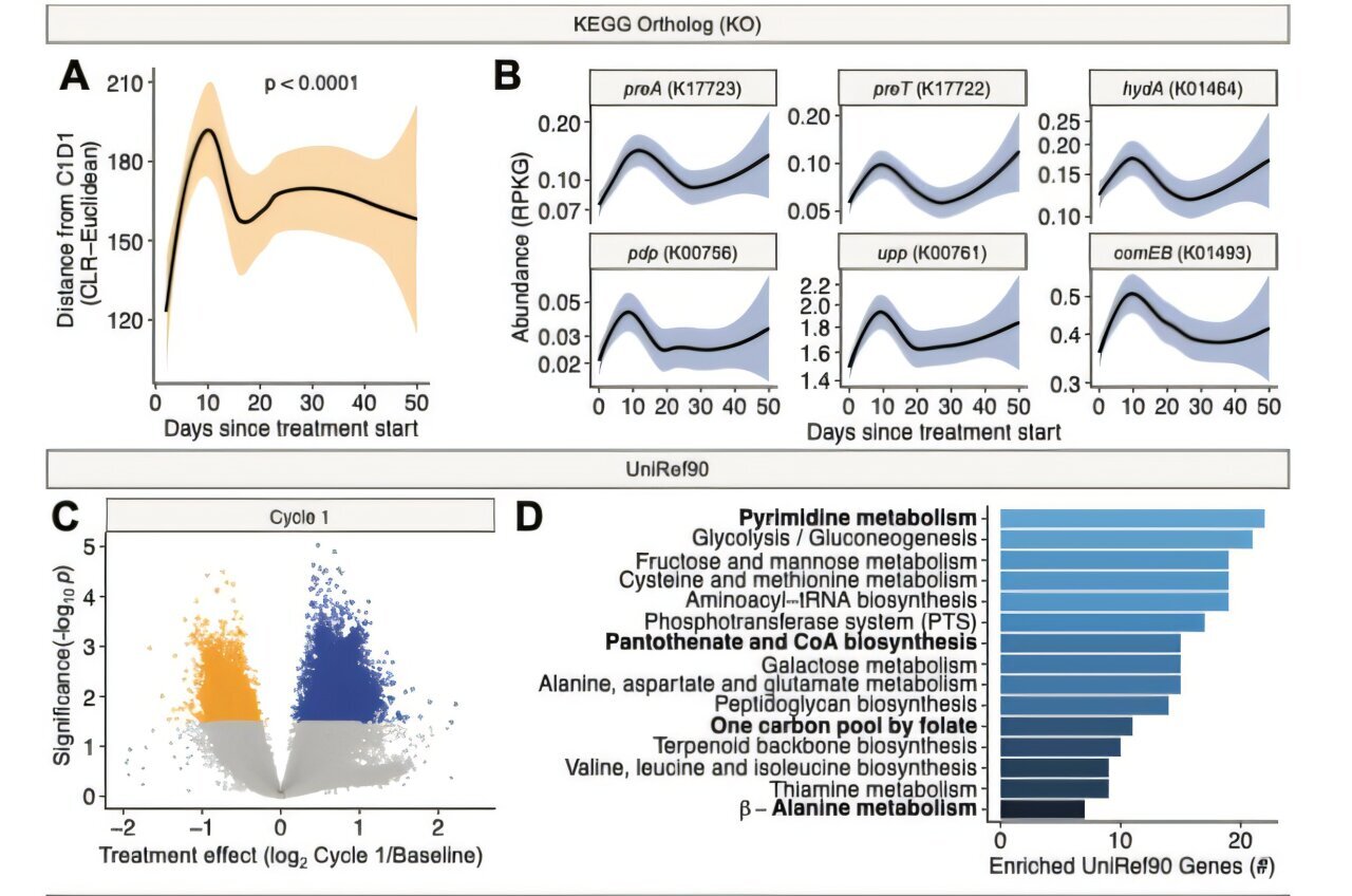 Gut microbes may help protect patients from chemotherapy side effects