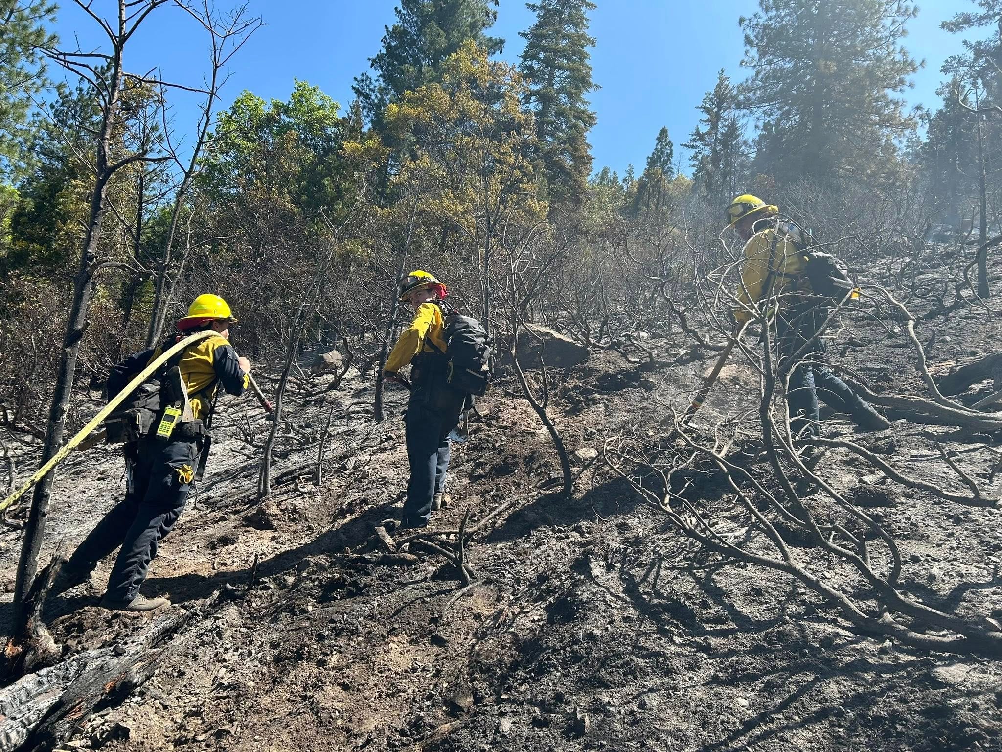 UPDATE: Mt. Shasta police look for man as they investigate origins of ...