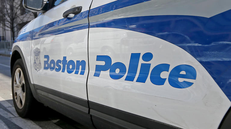 Hombre y su perro mueren arrollados por un auto en Back Bay