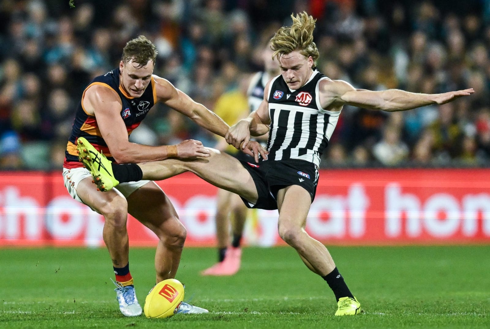 Port Adelaide offer multiple deals to out-of-contract star