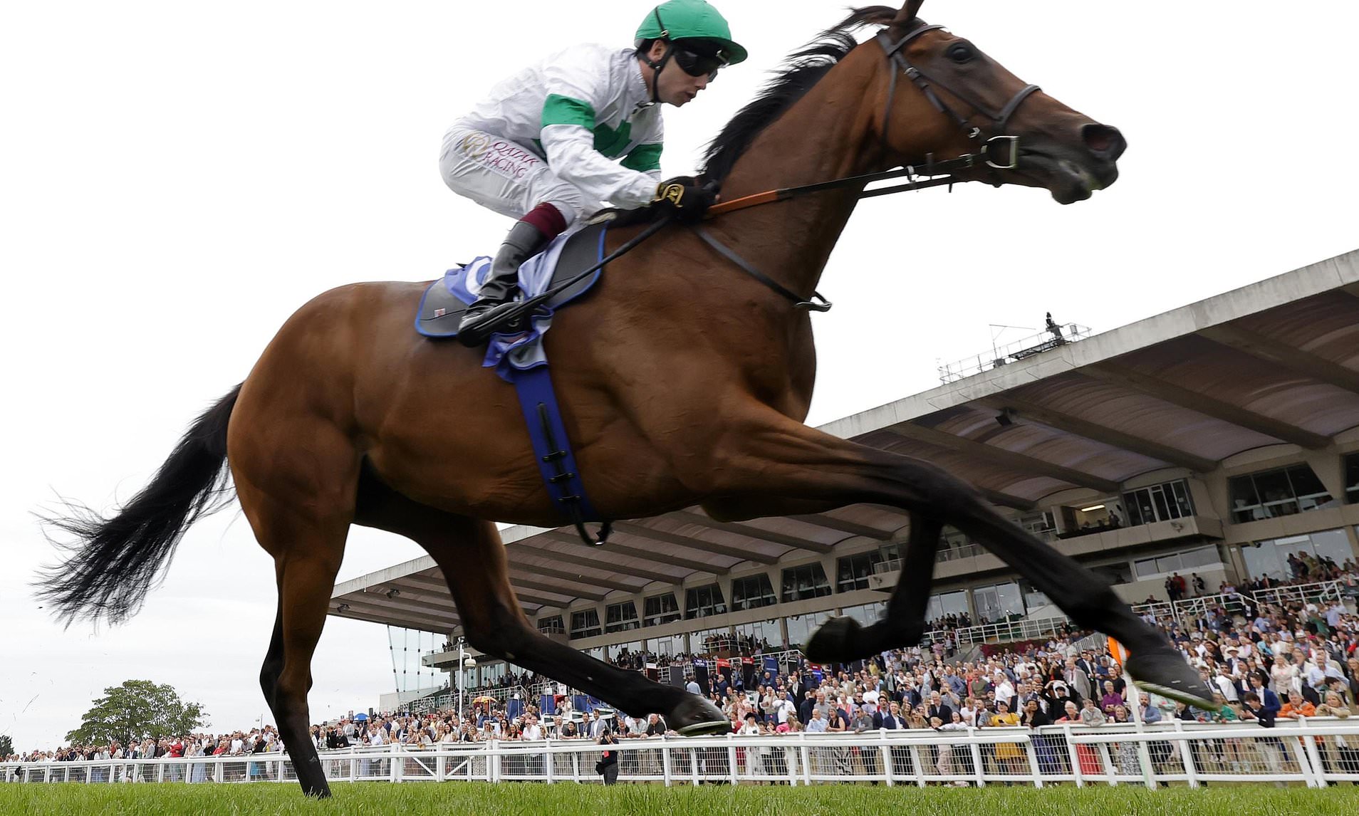 Robin Goodfellow's racing tips: Best bets for Wednesday, May 21