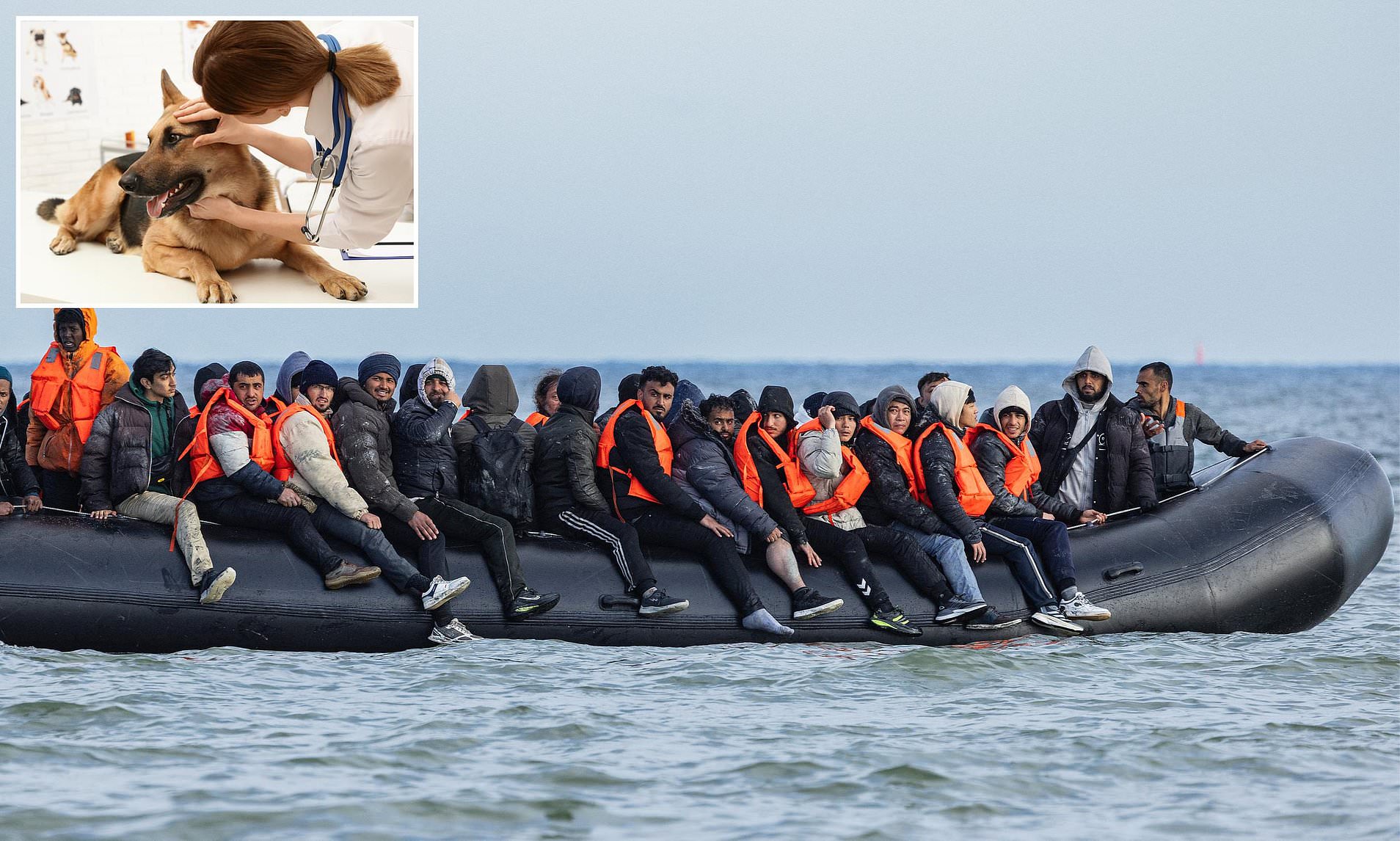 Send it bark! Taxpayers 'paid for small boat migrant's DOG to be kept ...