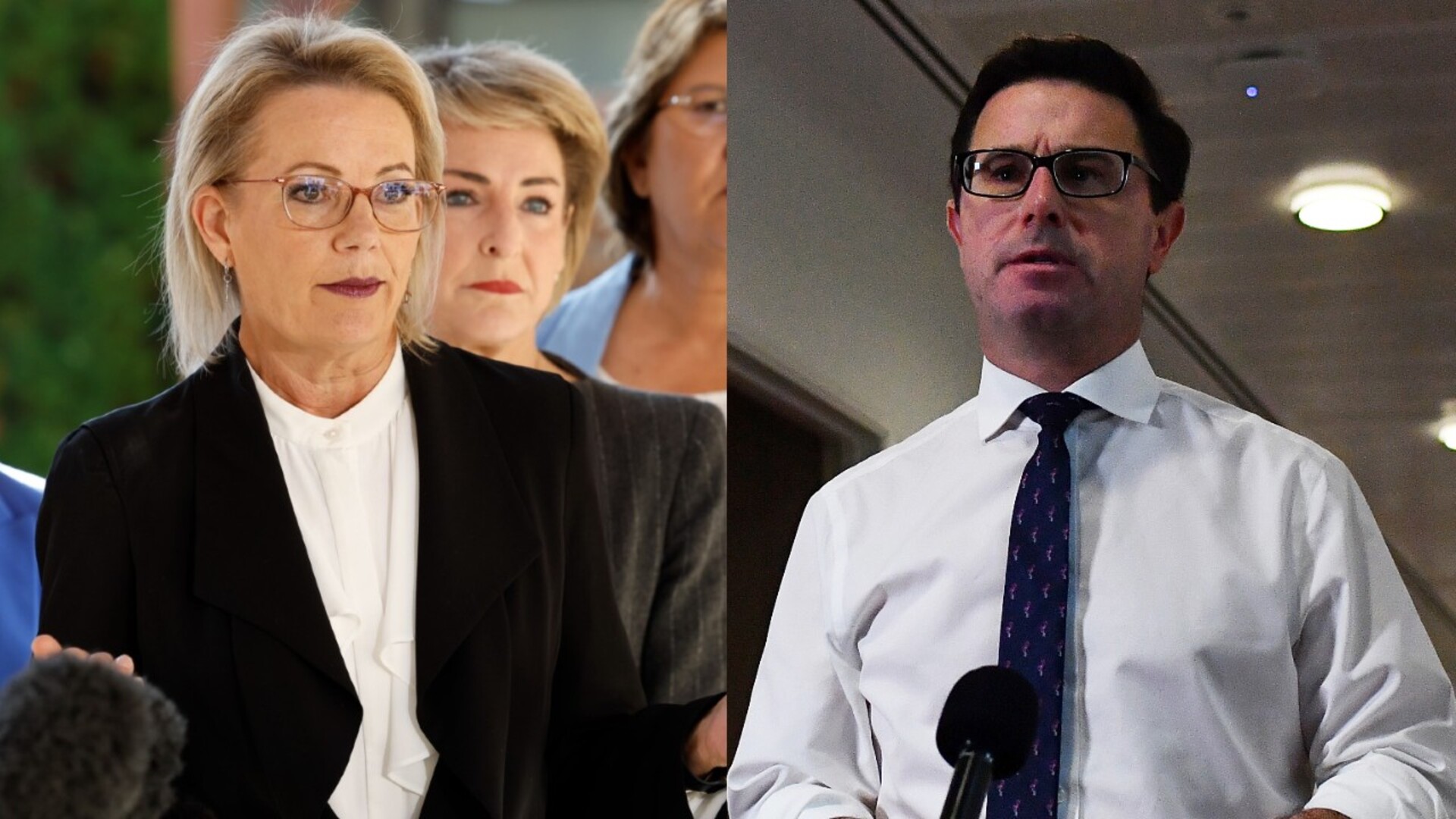 Liberals and Nationals now ‘completely irrelevant’ unless they can ‘get ...