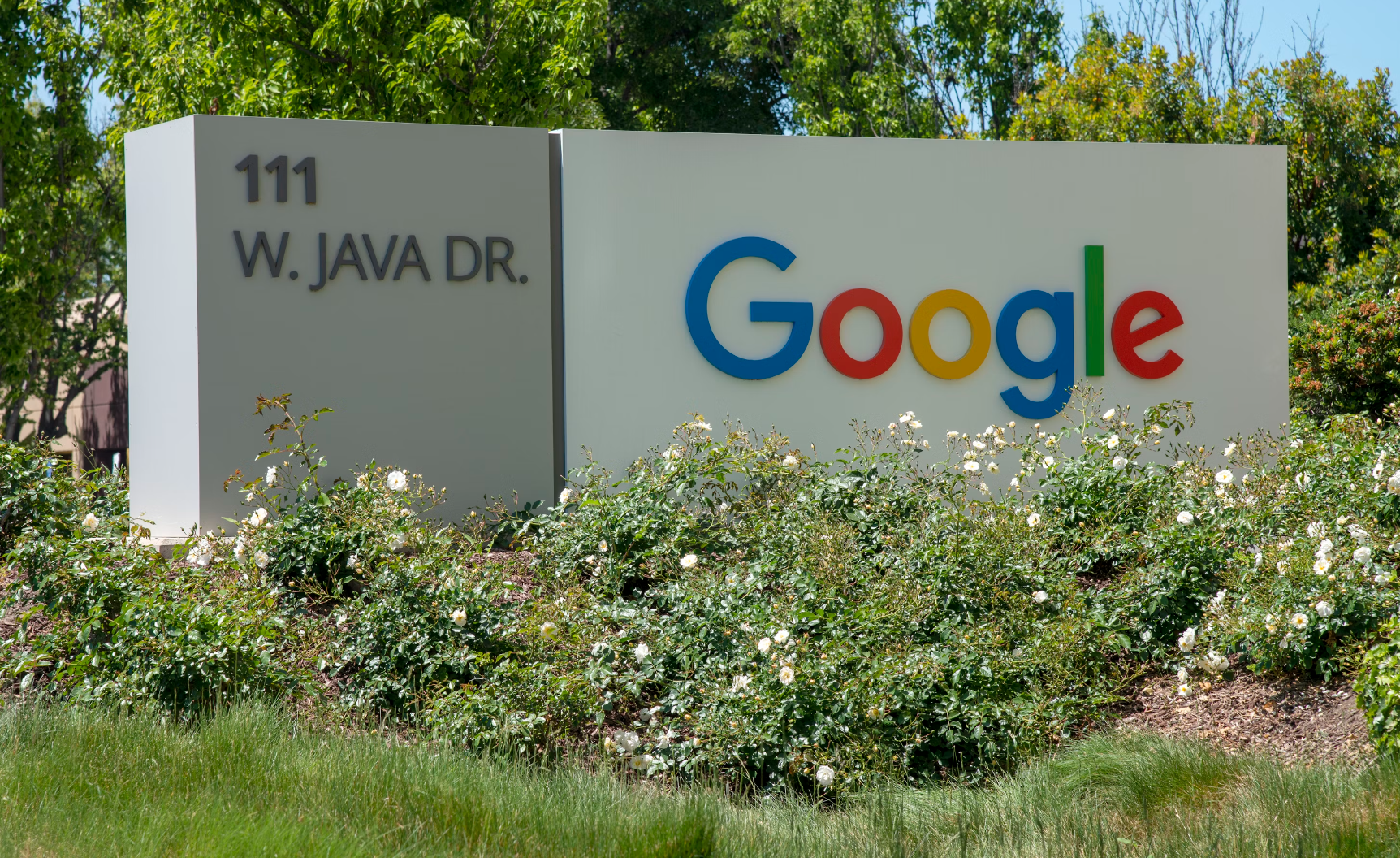 1.5 billion people see Google's AI Overviews each month