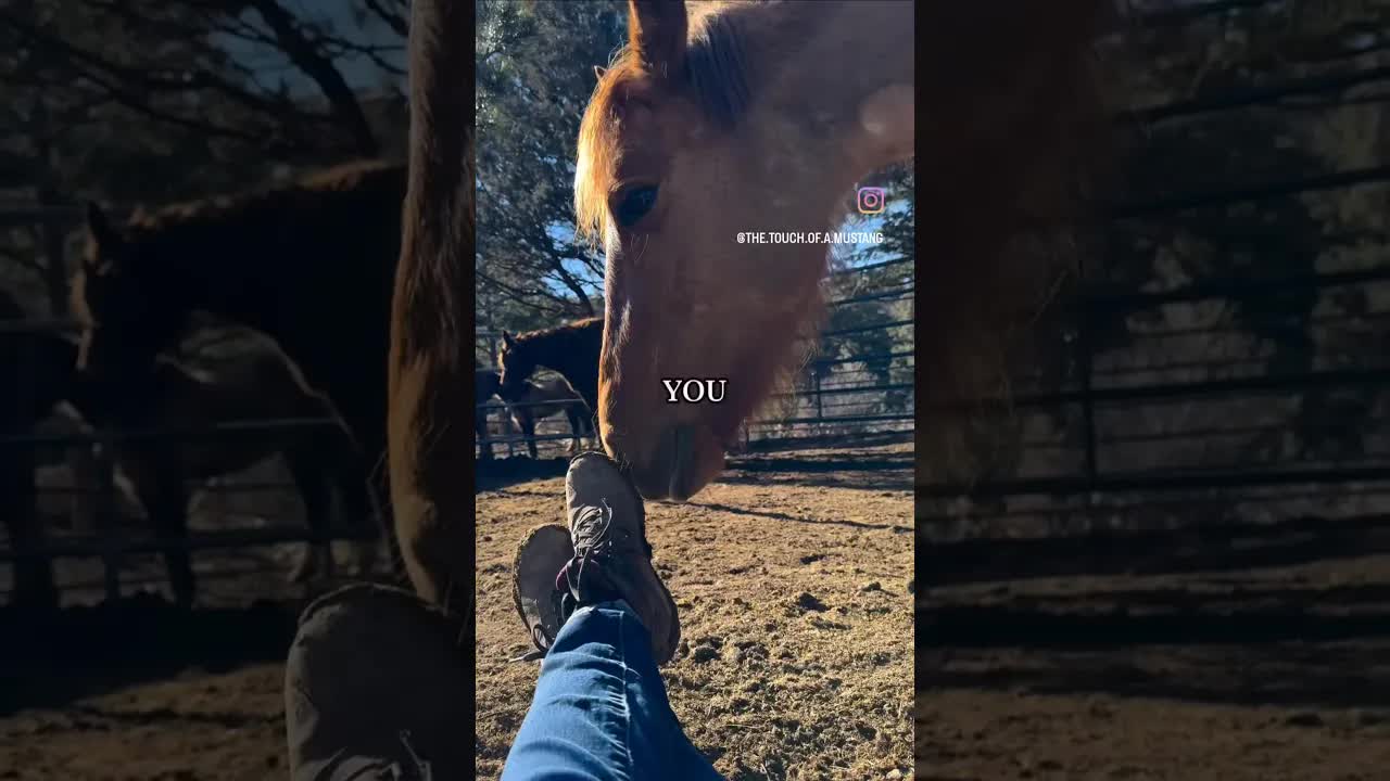 I was SO used to being told what to do for SO long, I thought someone ...