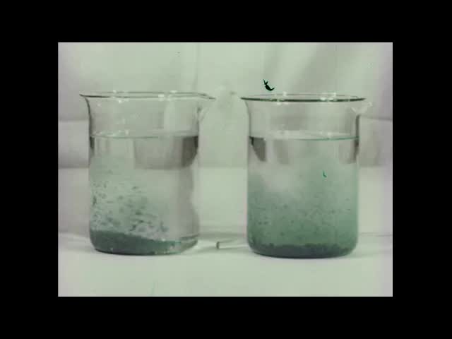 Chemistry Solutions: Solute, Solvent & Potassium Permanganate