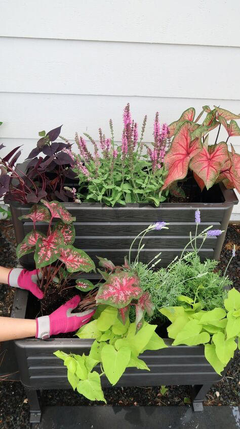 Simple Garden Upgrades That Made a Big Impact on My Outdoor Space