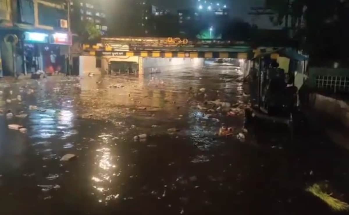 Fallen Trees, Flooded Underpasses: Heavy Rain Causes Chaos In Mumbai