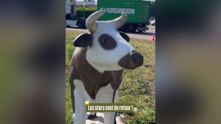 Près de Rouen, le rond-point des vaches retrouve ses statues sept ans ...
