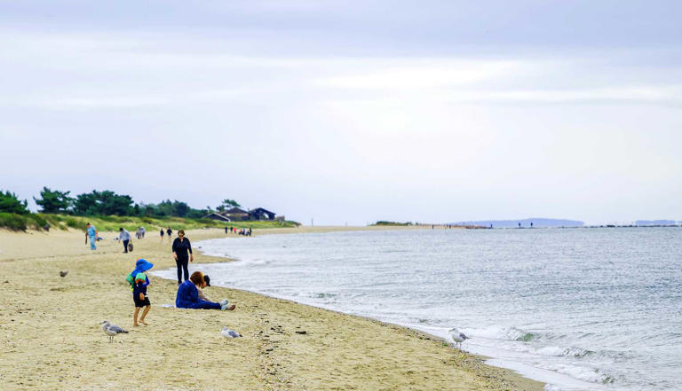 Save The Sound Releases 2025 Water Report