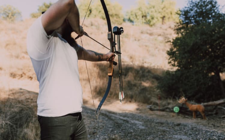 The 10 bows guides rely on when it counts