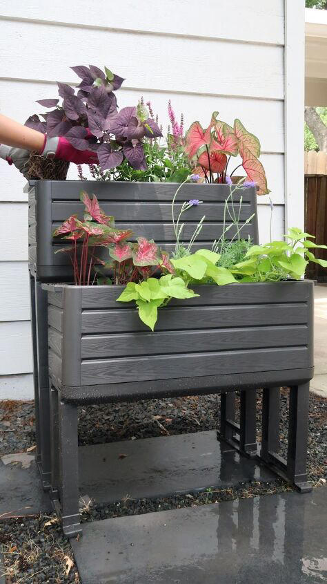 Simple Garden Upgrades That Made a Big Impact on My Outdoor Space