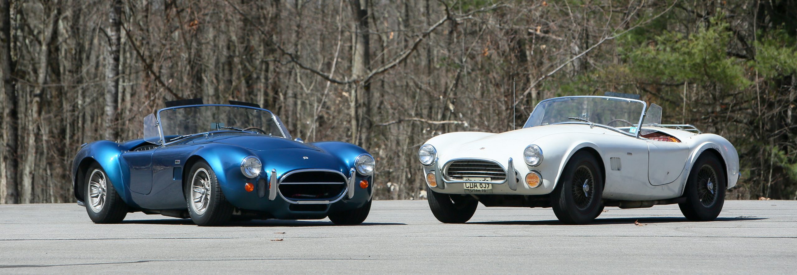 Shelby Hierarchy: Tracking Values of the Cobra Quiver