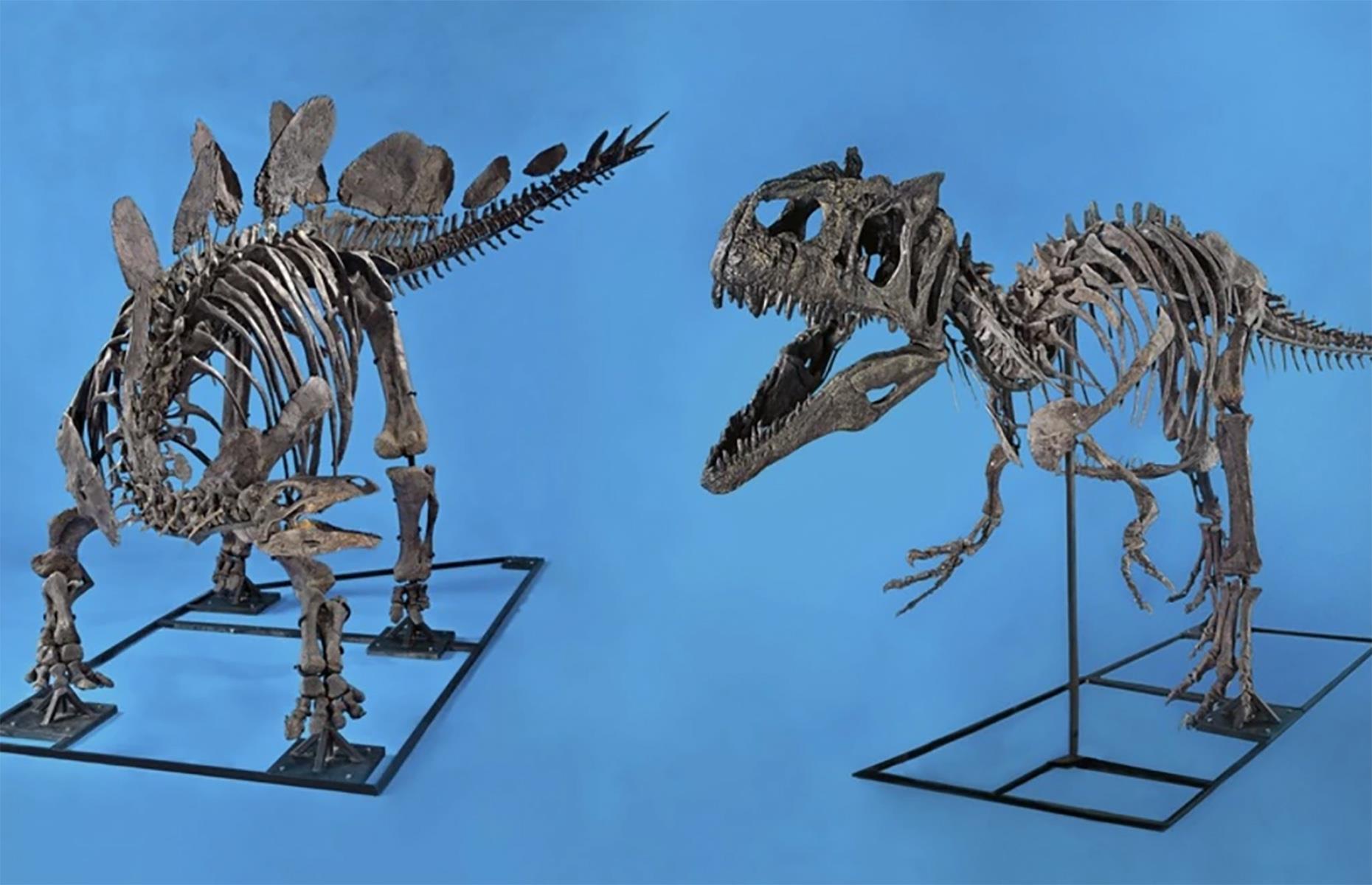 The 12 most valuable dinosaur fossils that sold for shocking sums