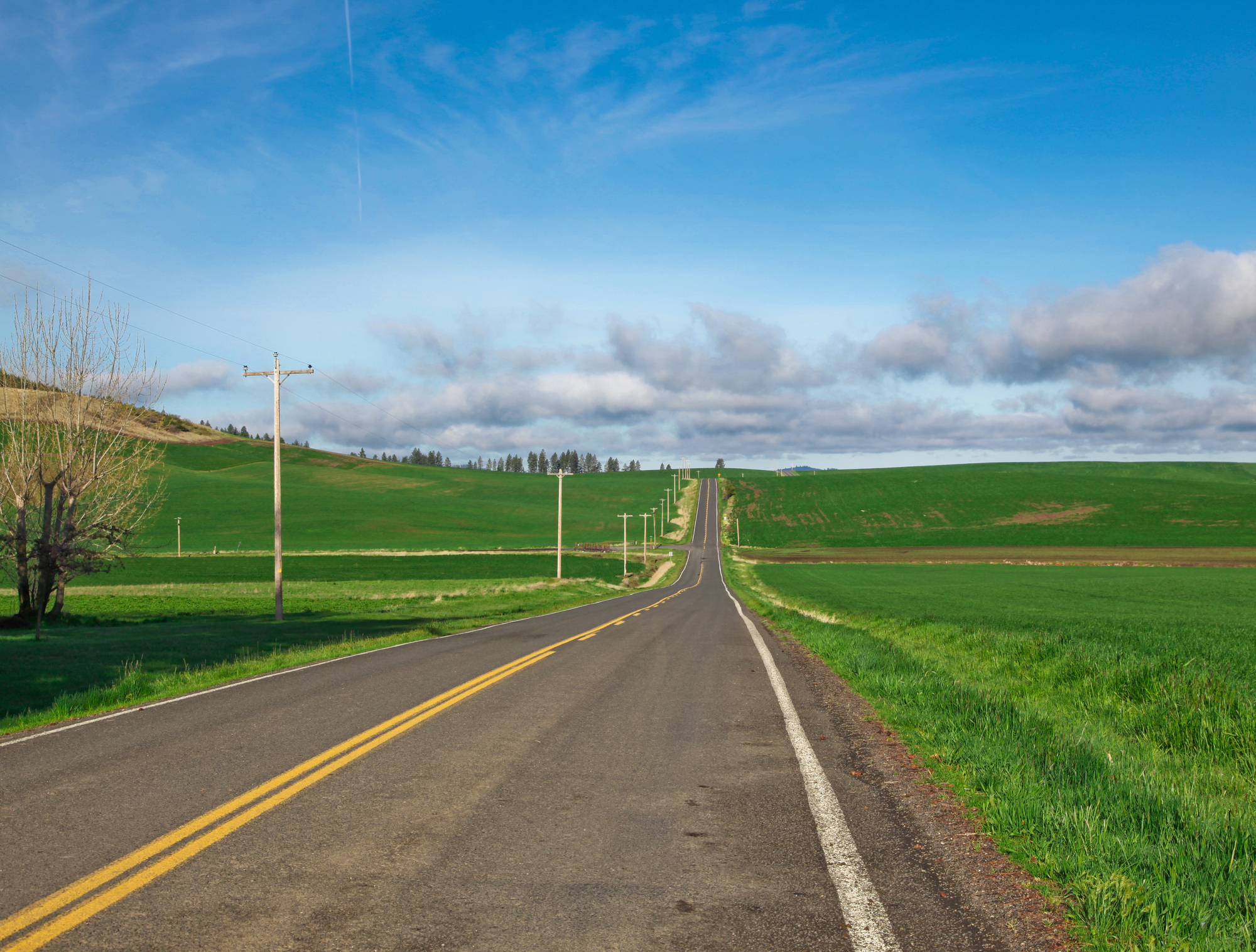 18 Forgotten Roadside Attractions Worth a Detour