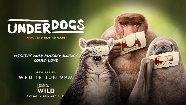 A Look Back at the AGM-69A Short-Range Attack Missile