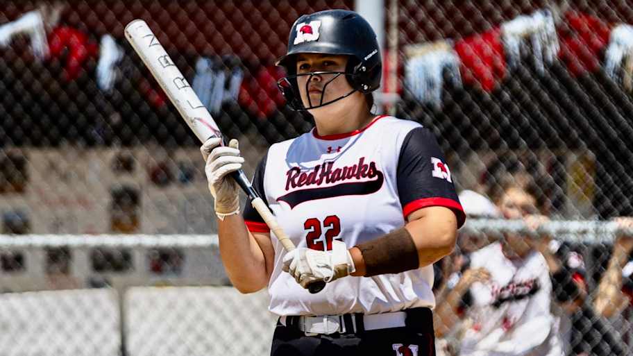 Illinois (IHSA) high school softball playoff brackets, matchups, scores ...