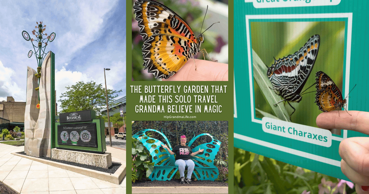 The butterfly garden that made this solo travel grandma believe in magic
