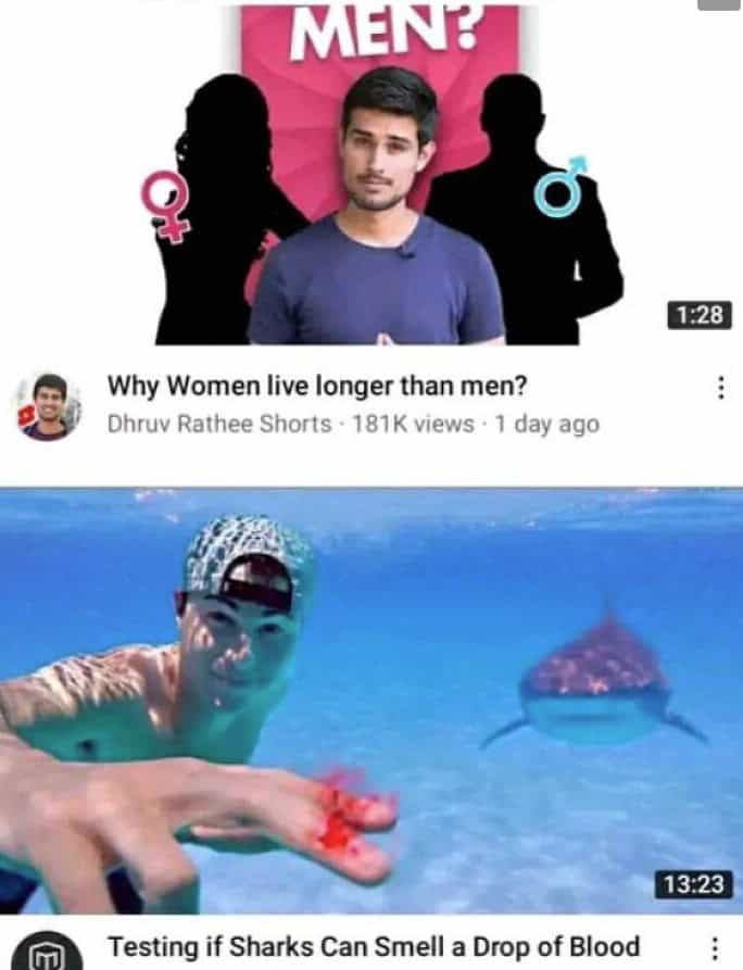 35 Examples Of Accidental Comedy Found In The Wild And Too Good Not To ...