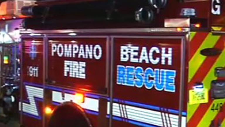 Baby alligator bites man, 78, after releasing turtle at lake in Pompano ...