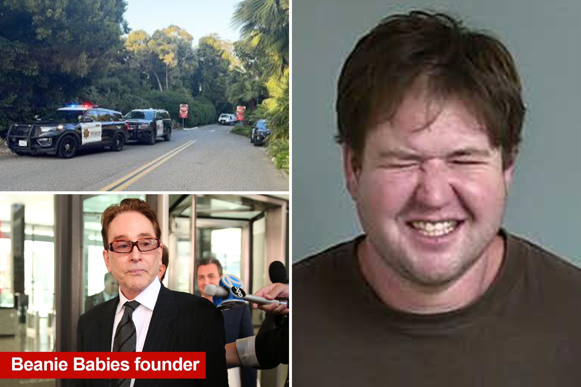 Maniac beats 60-year-old woman into coma at Beanie Babies founder’s ...