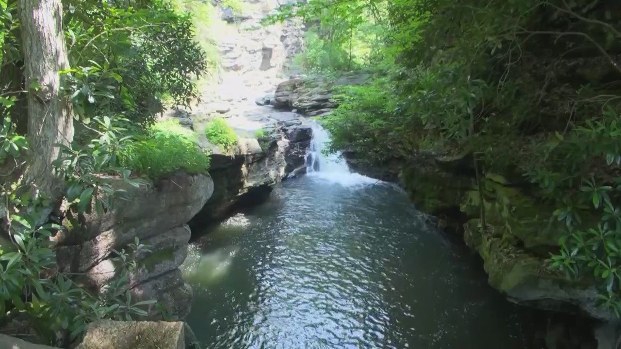 Authorities warn of the dangers of swimming in rivers | 28/22 News