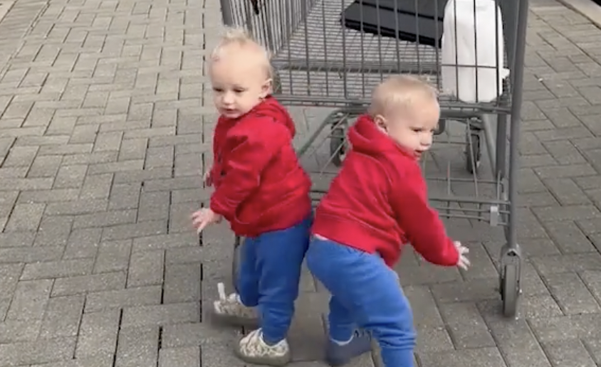 Twin Toddlers Turn Costco Trip Into the Cutest Teamwork Moment Ever