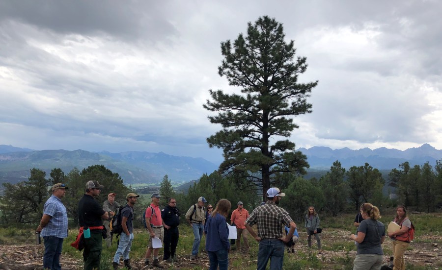 CWLT announces a new wildfire mitigation project, highlighting ...