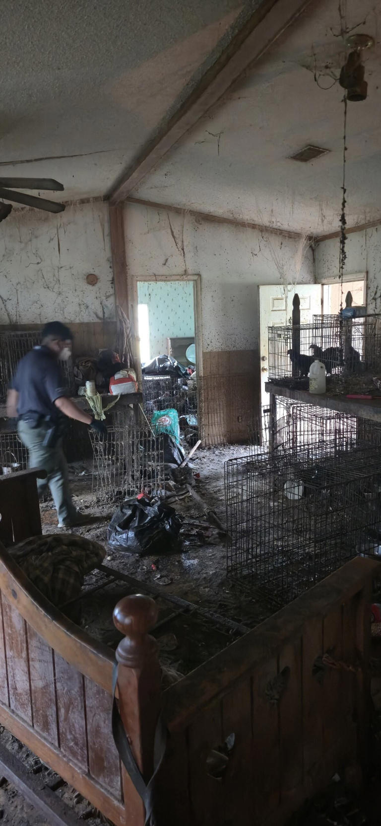 Woman arrested, 13 dogs rescued from ‘horrendous’ conditions in Haughton