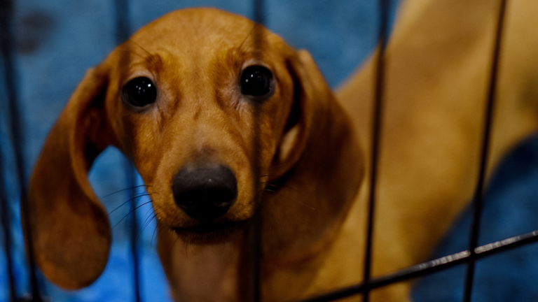 Promotion Denied To Employee For 'Making Work Look Easy' And 'Being Too ...