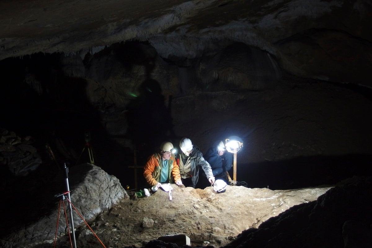 Scientists pinpoint when humans started to use tools made from whale bone