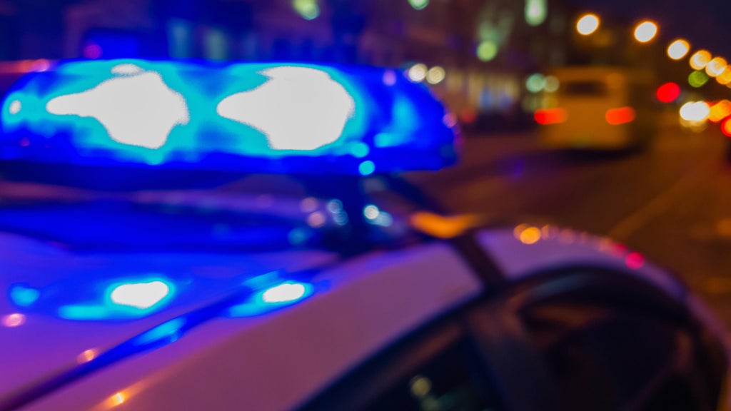 Chicago man charged with murder after Elburn man found dead in Oak ...