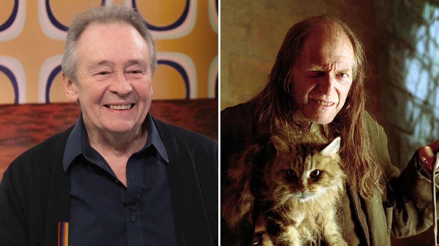 Harry Potter HBO series: What we know so far