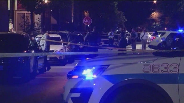 Man, 22, shot while going into home on Chicago's South Side