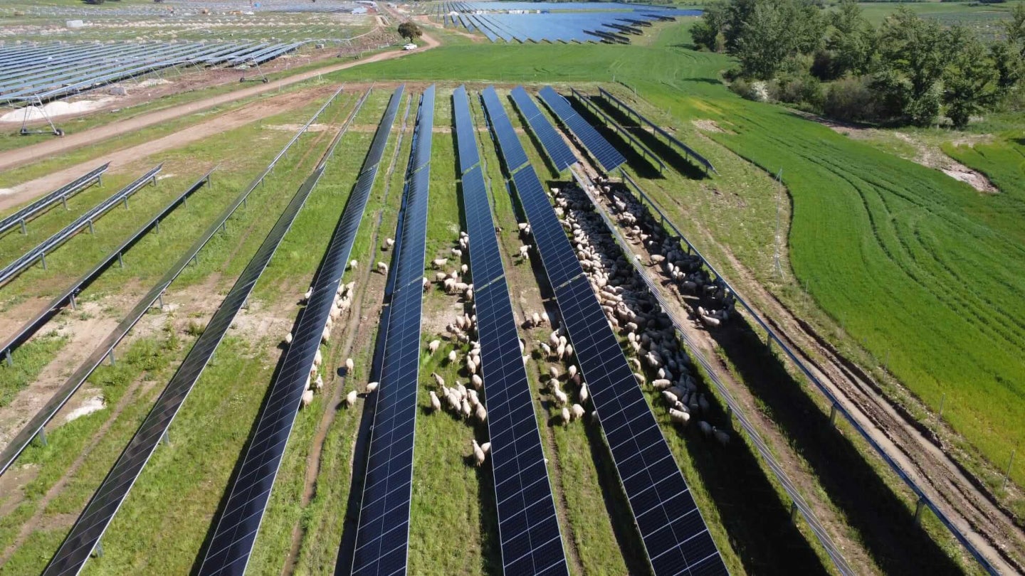 Solaria secures $106m for 175MW Spanish renewable energy project