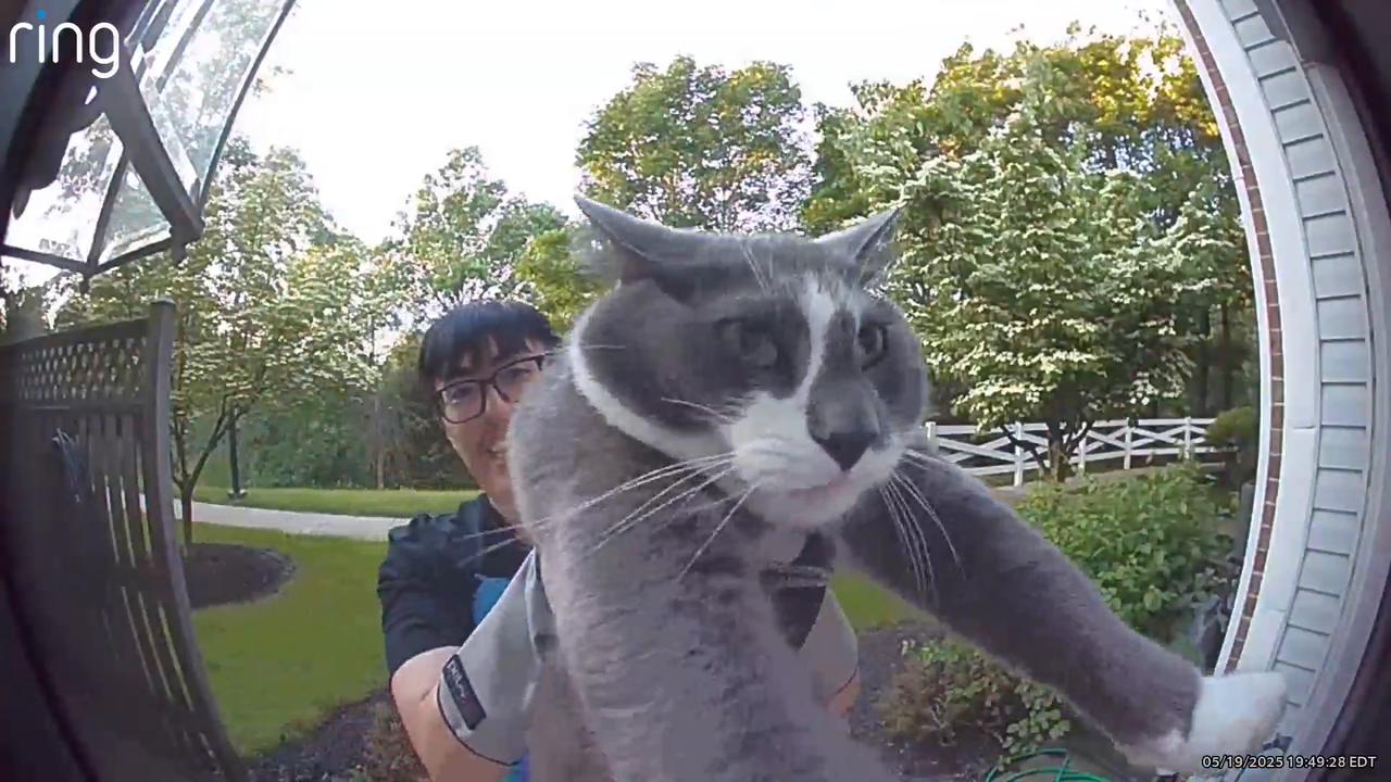 Friendly Neighbor Returning My Cat