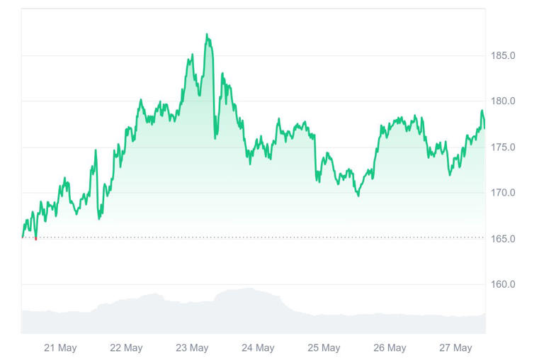 Solana Might Hit $250, But This Competing Altcoin Could Turn $750 Into $70,000 in 6 Months