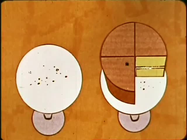 (152) the weird number: exploring rational numbers, fractions & math ...