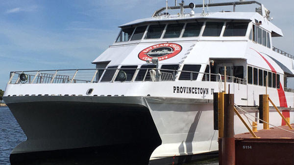 Popular Cross Bay ferry could set sail again