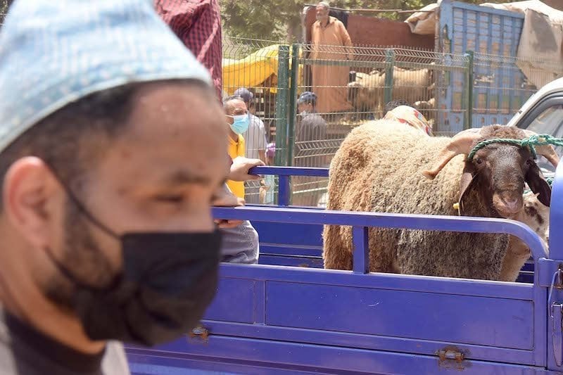 Moroccan labor union calls for restructuring Eid holiday system ...