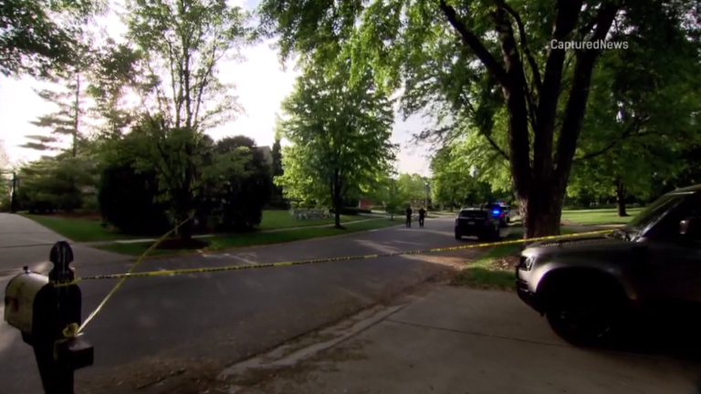 Boy, 5, dies after being hit by car in family's own driveway in St. Charles, Illinois