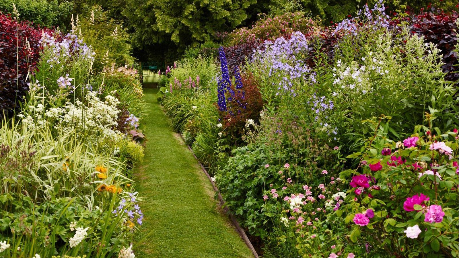 Can you plant wildflowers and perennials together? This Chelsea Flower ...