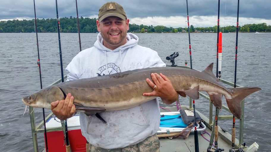 Lake Sturgeon Fishing: How to Catch the Biggest Freshwater Fish in the ...