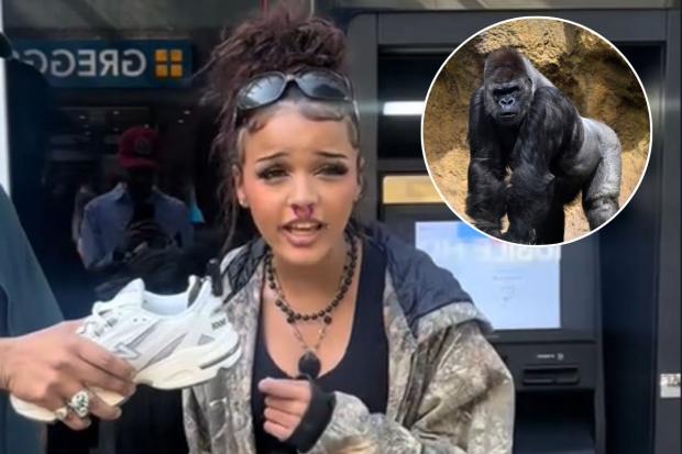 Swindon has its say on 100 men v one gorilla