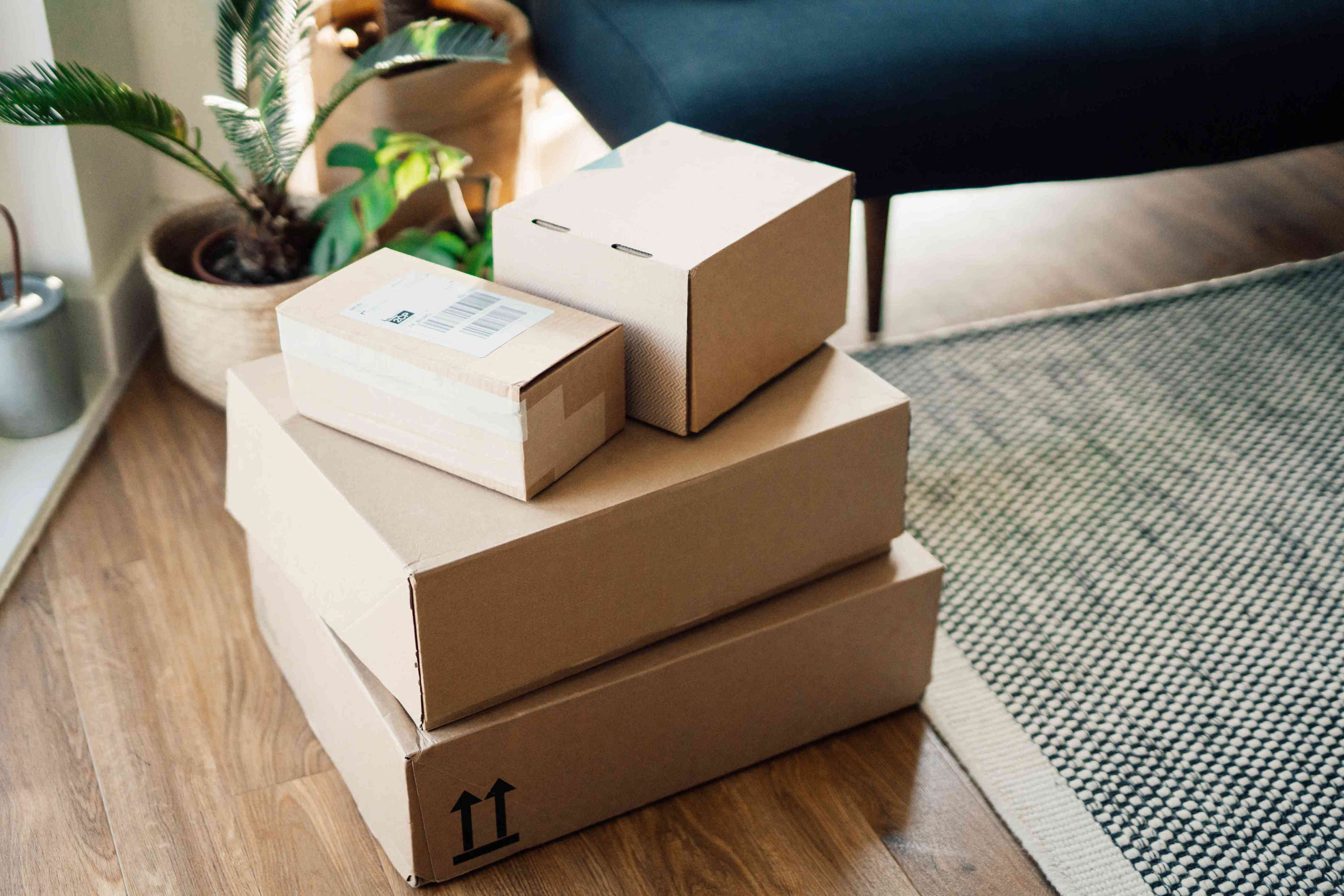 The Gross Reason You Should Never Bring Cardboard Boxes Inside